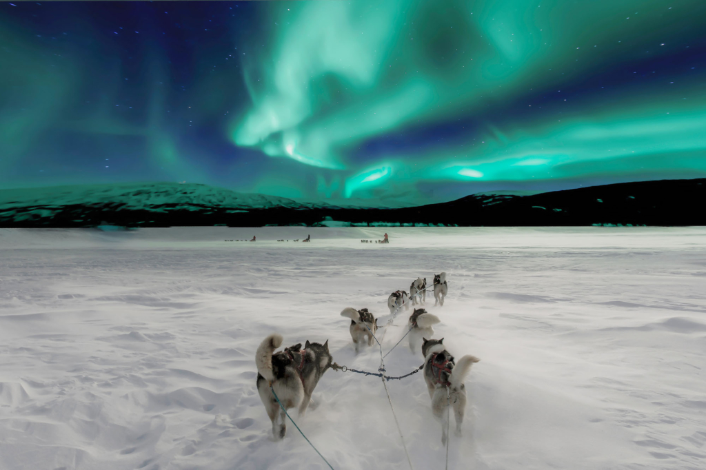 Zorza polarna - co to jest i jak powstaje? - Soultravel